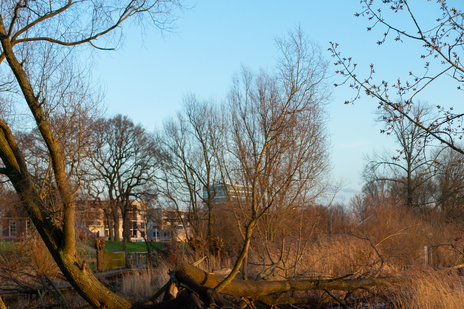 Bewolkt met kans op motregen - RTV Focus