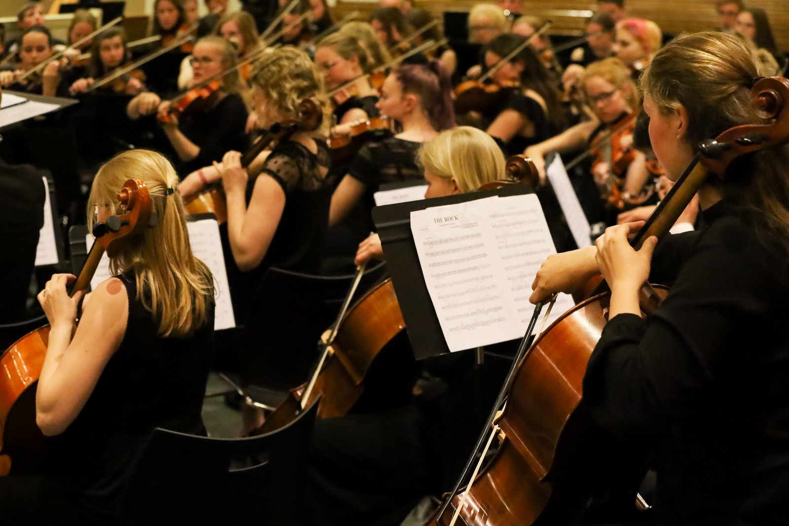 In beeld: Rapper Rico, de Zwolse Maestro 2019 - RTV Focus