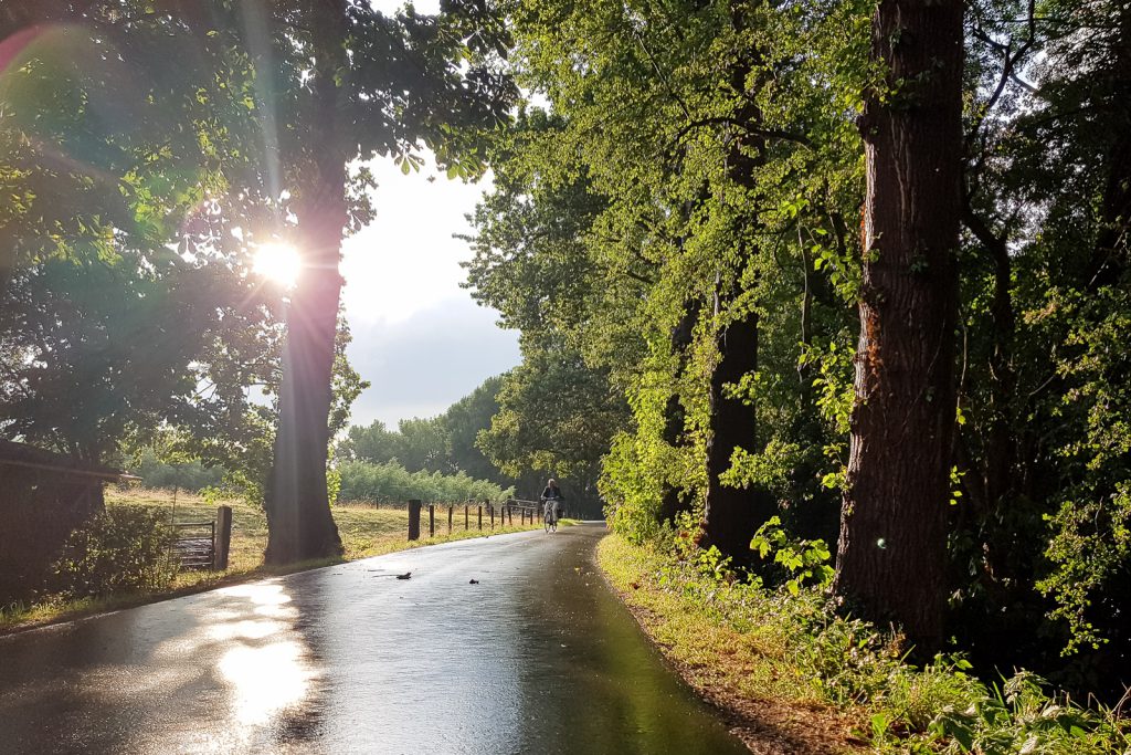 Kans op motregen - RTV Focus