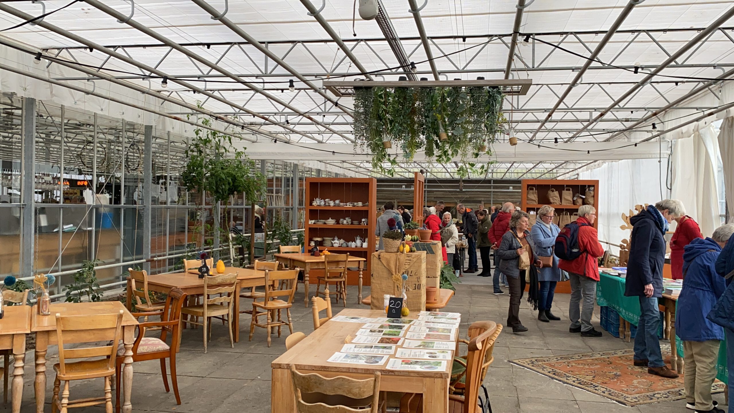 Tussen de knollen en gewassen: Najaarstuinmarkt bij de Kas van Kaat - RTV Focus