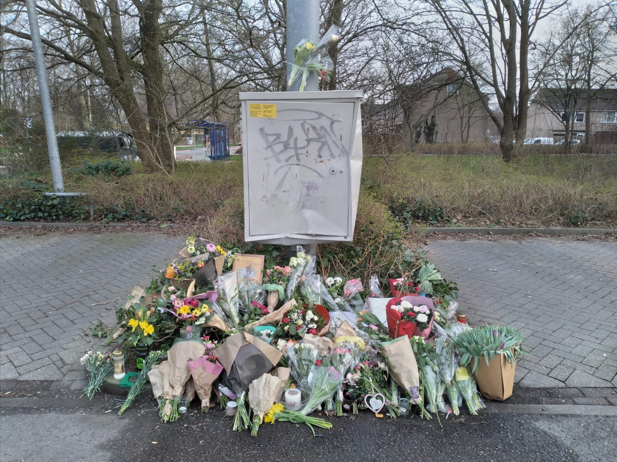 IMG-20240311-WA0001 - RTV Focus